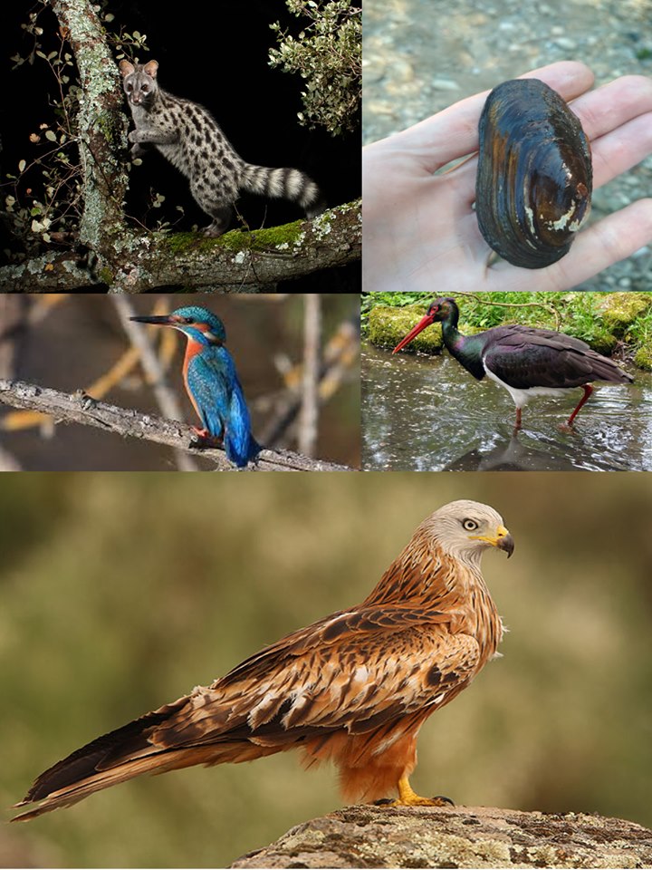 DIEZ RAZONES PARA CONOCER LA NAVA – RUTASSIERRA